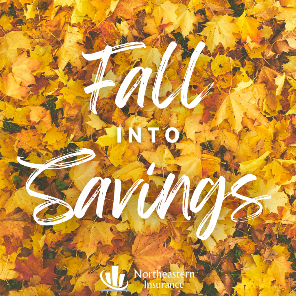 Fall Toys and Activities in the Capital Region! - Northeastern Insurance